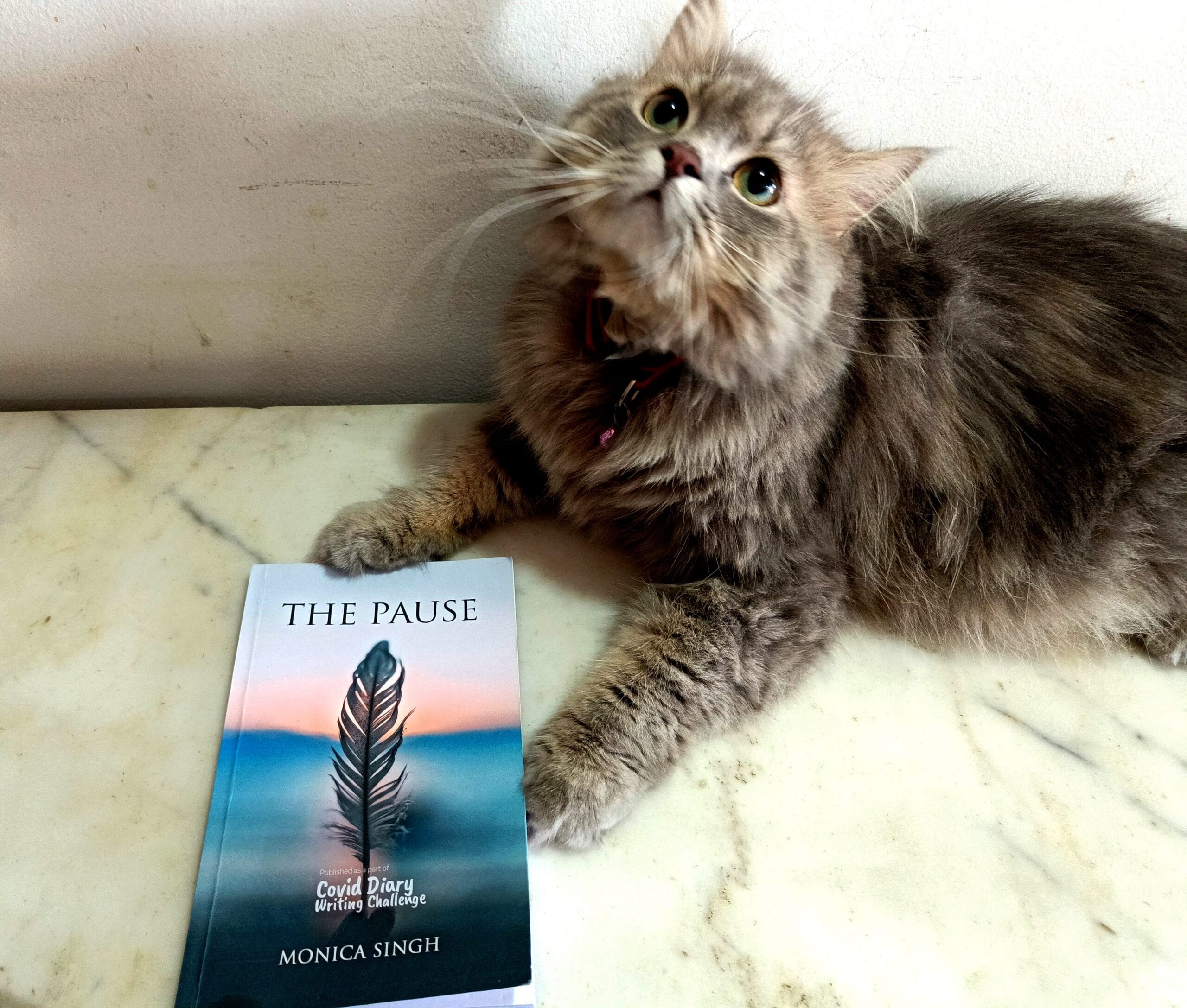 The pause - Sonal Singh